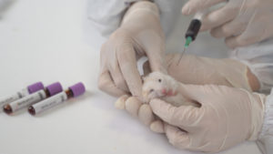 Vivisection - What Are The Arguments With This Issue?