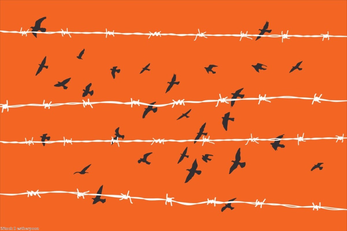 Week in Review: Johnson's daily drip-feed of poison about immigrants