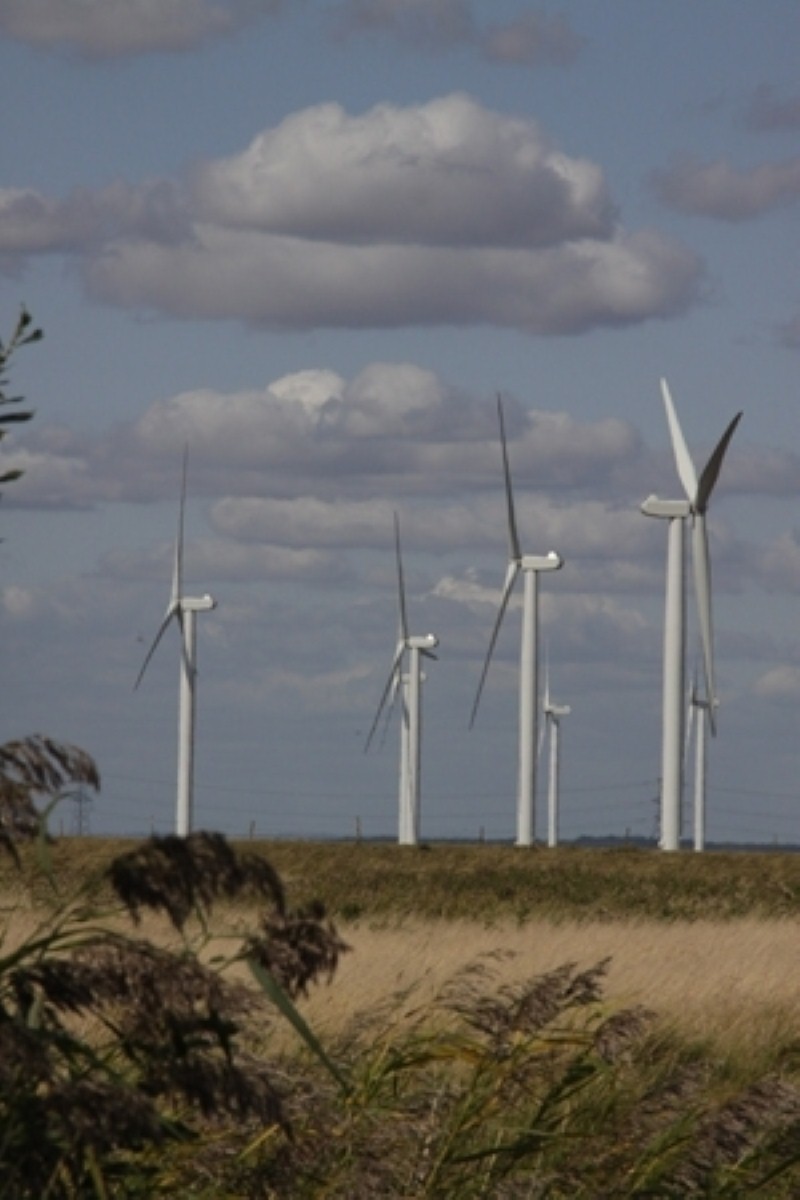 Wind 101: Tory MPs pressure Cameron over renewable energy