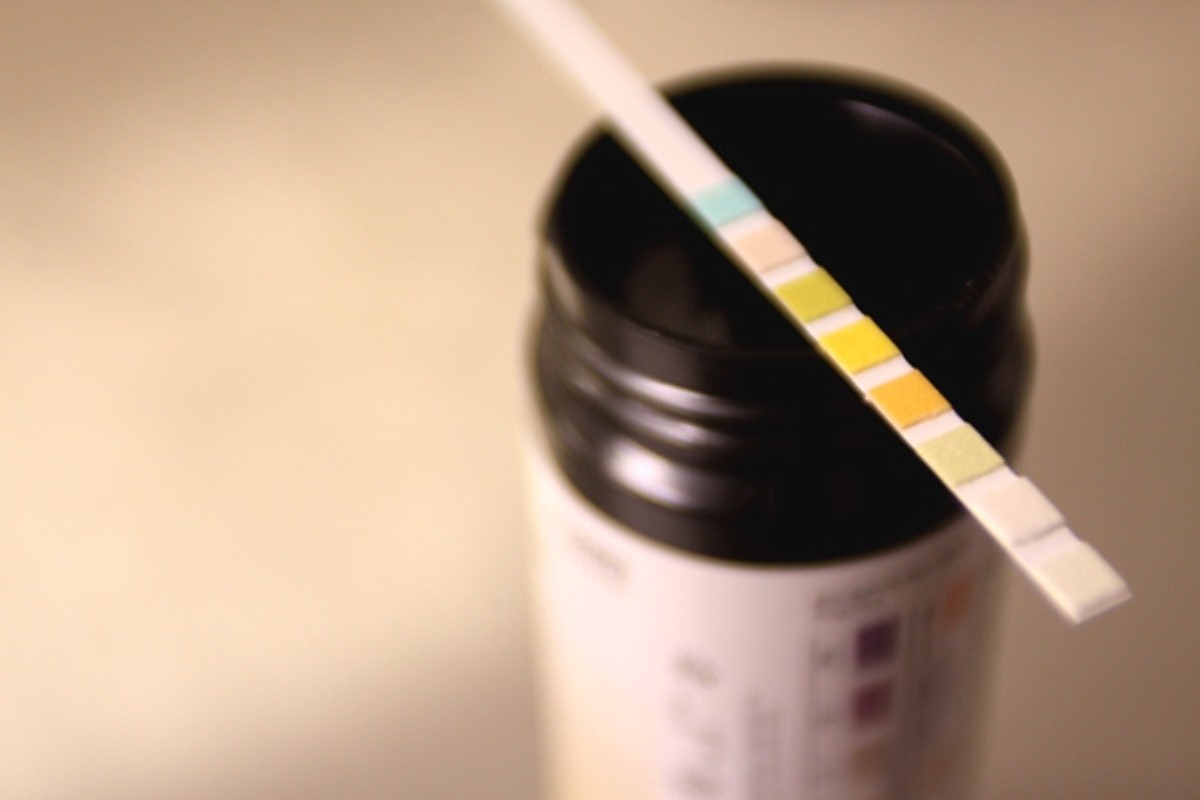 How to cut drug deaths in prison: End drug testing